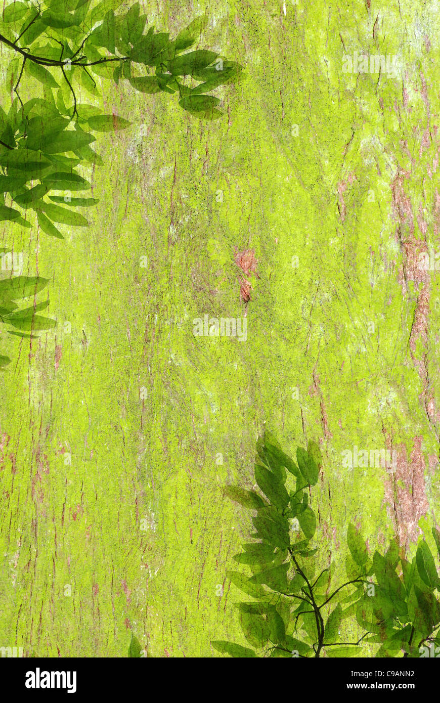 green leaf tree trunk surface texture background Stock Photo - Alamy