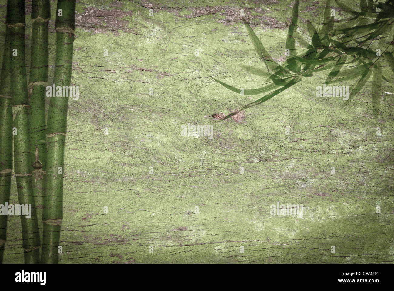abstract bamboo green background Stock Photo - Alamy