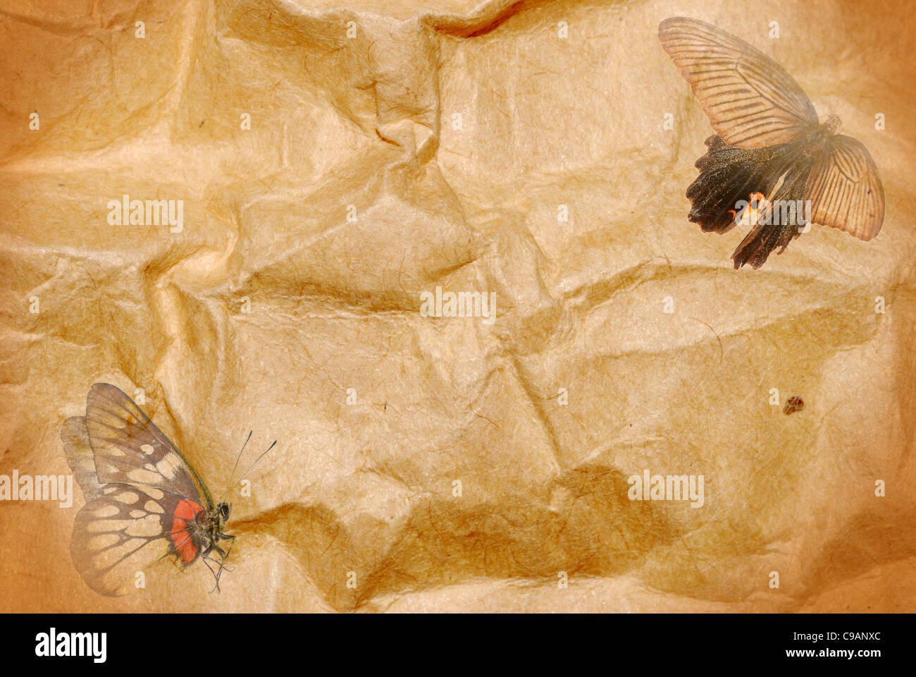 fly butterfly paper abstract background Stock Photo - Alamy