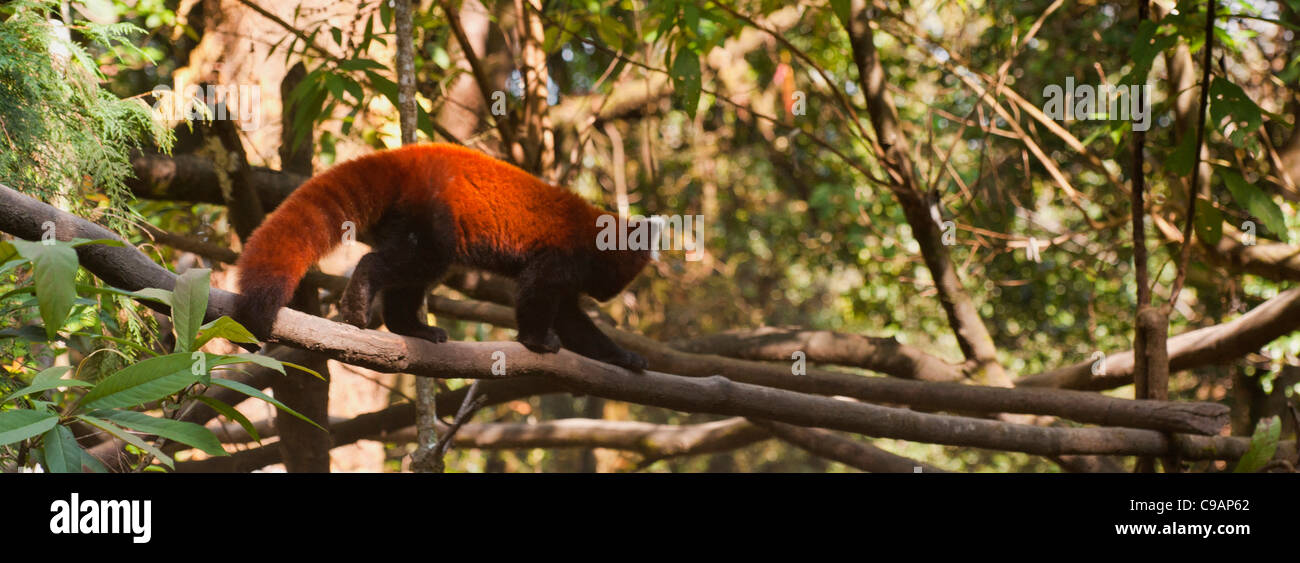 Tight rope walk hi-res stock photography and images - Alamy