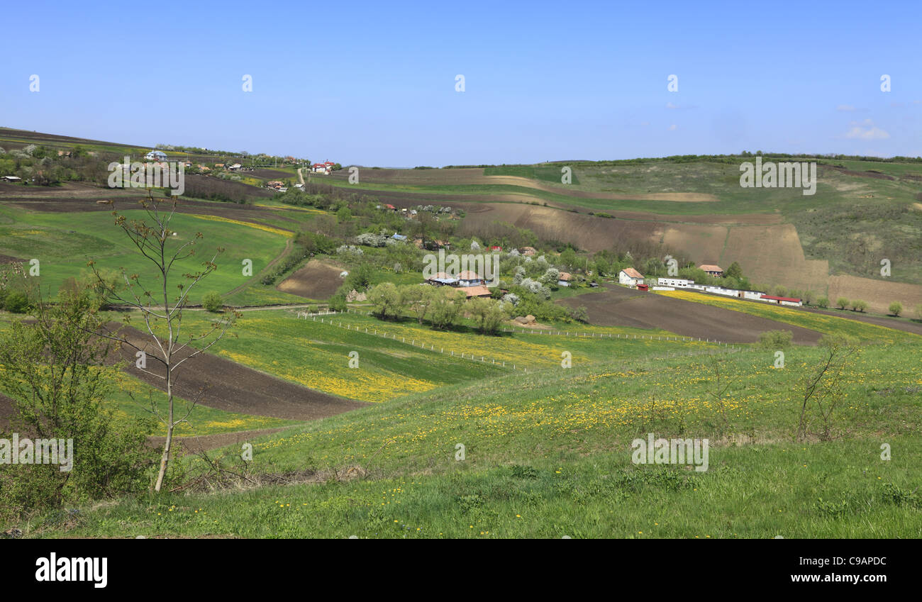 Spring hilly landscape from Transylvania,Romania Stock Photo - Alamy