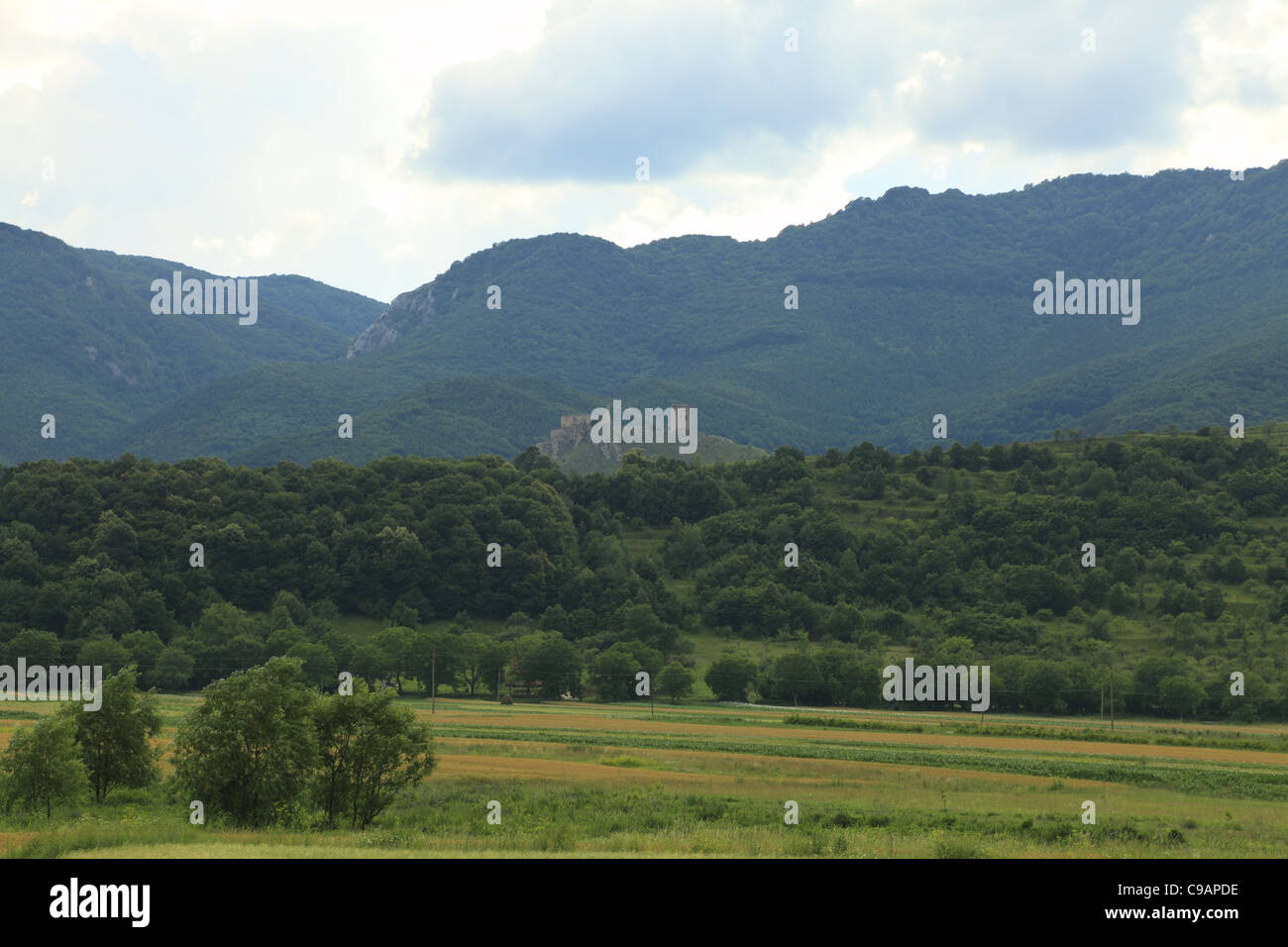 Coltesti Fortress, now in ruins, was a 13th century castle located in ...
