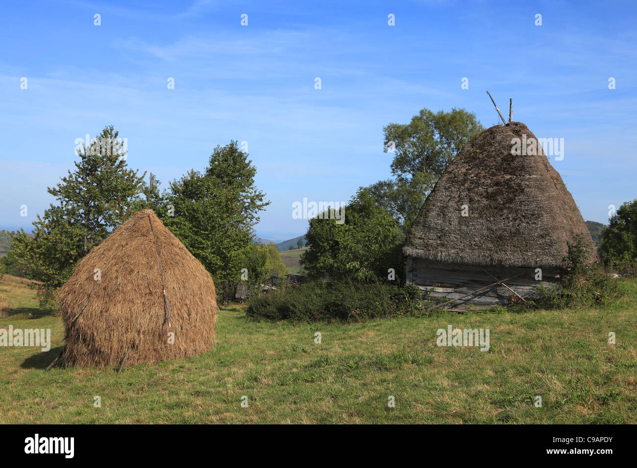 Landscape in an isolated mountainous rural area in Apuseni Mountains in ...