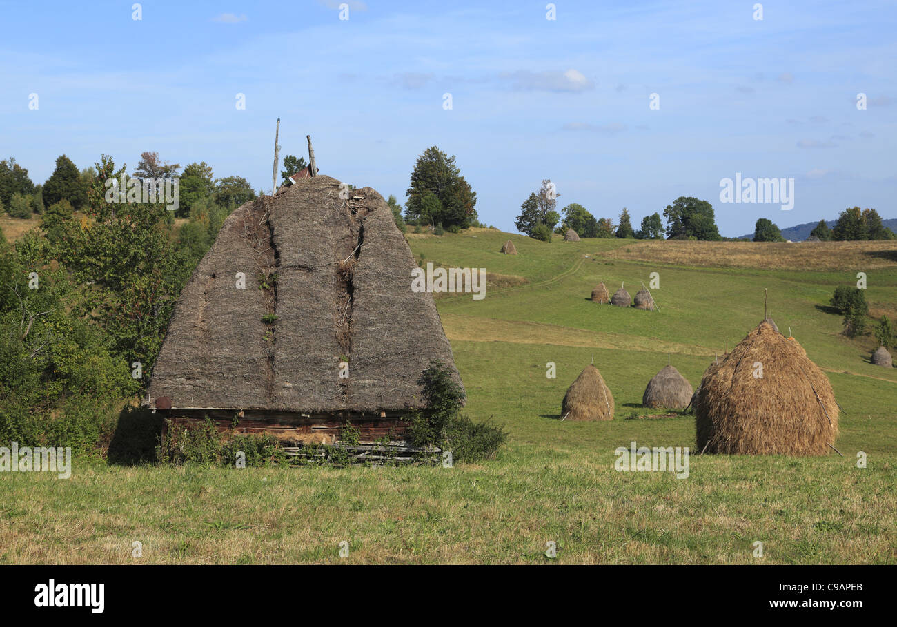 Landscape in an isolated mountainous rural area in Apuseni Mountains in ...