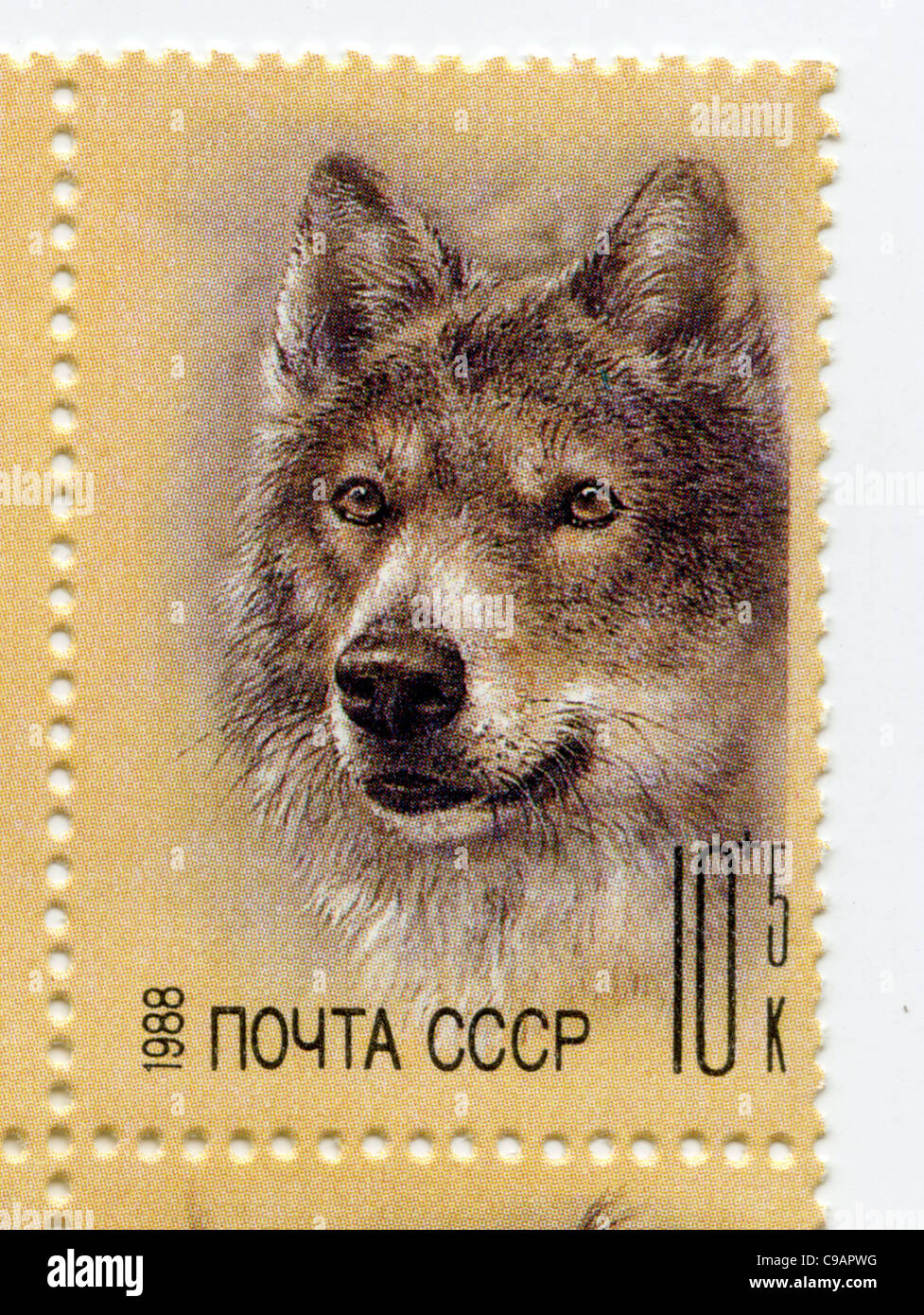 USSR postage stamp Stock Photo - Alamy