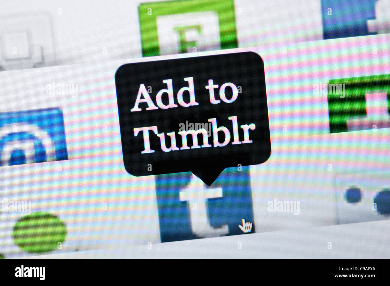 Tumblr Button