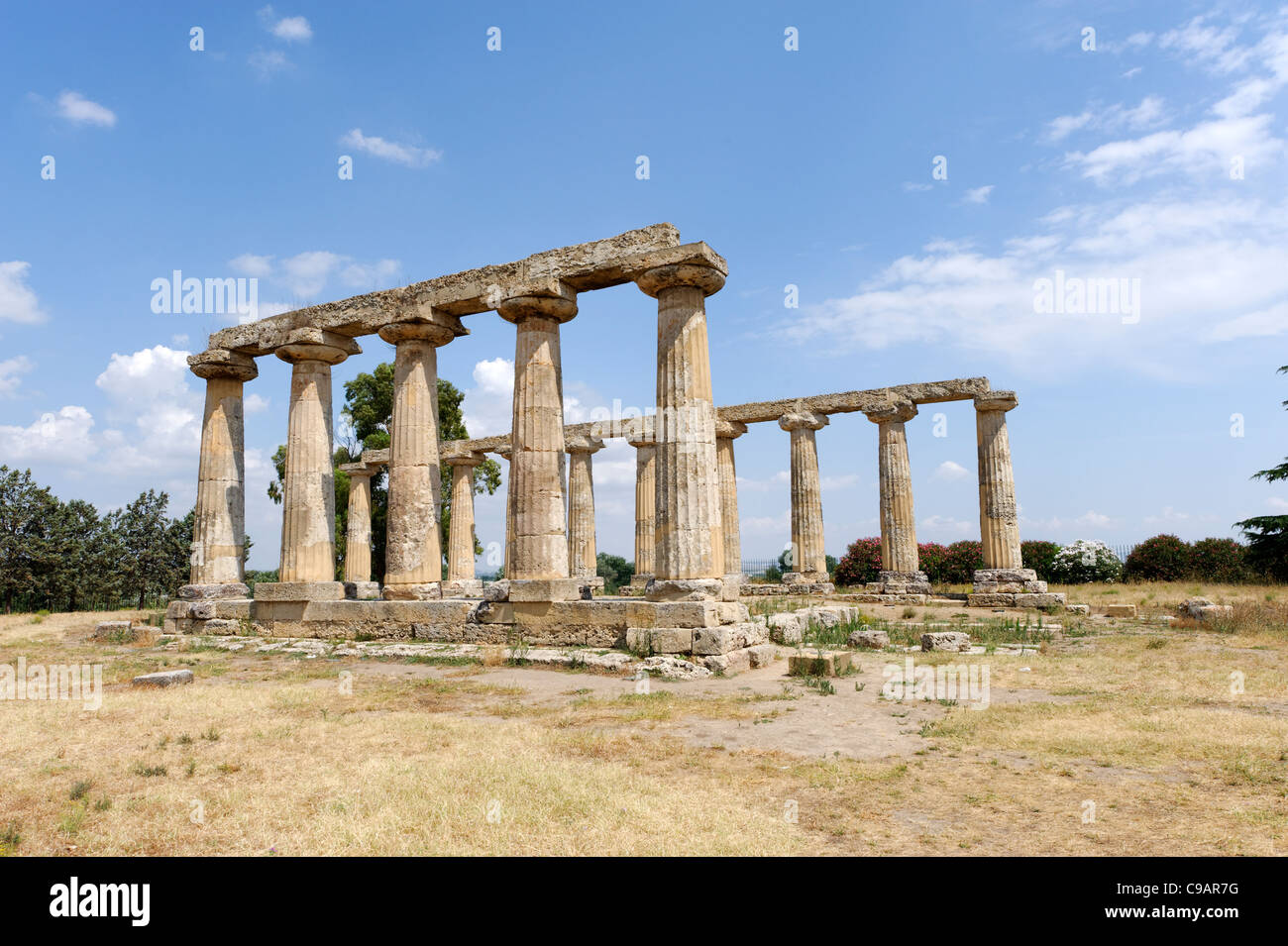 Metapontion. Basilicata. Italy. View of the majestic Greek Doric Temple ...
