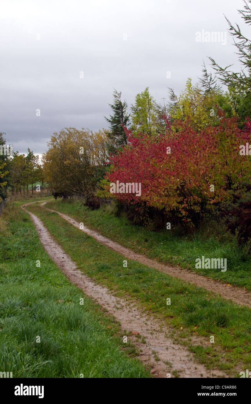 Russet colour hi-res stock photography and images - Alamy