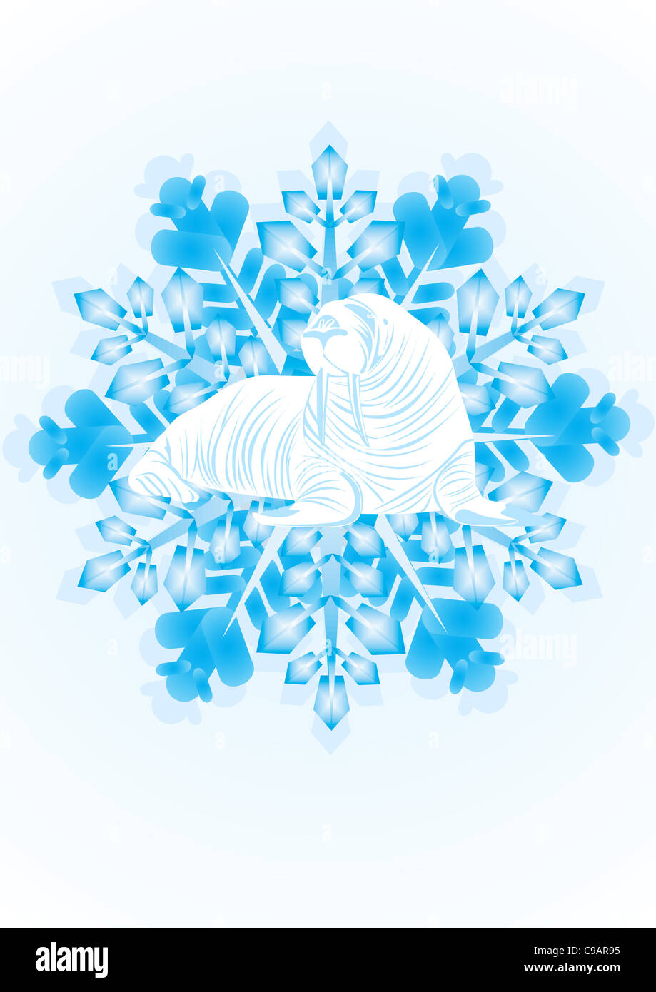 Walrus shape hi-res stock photography and images - Alamy