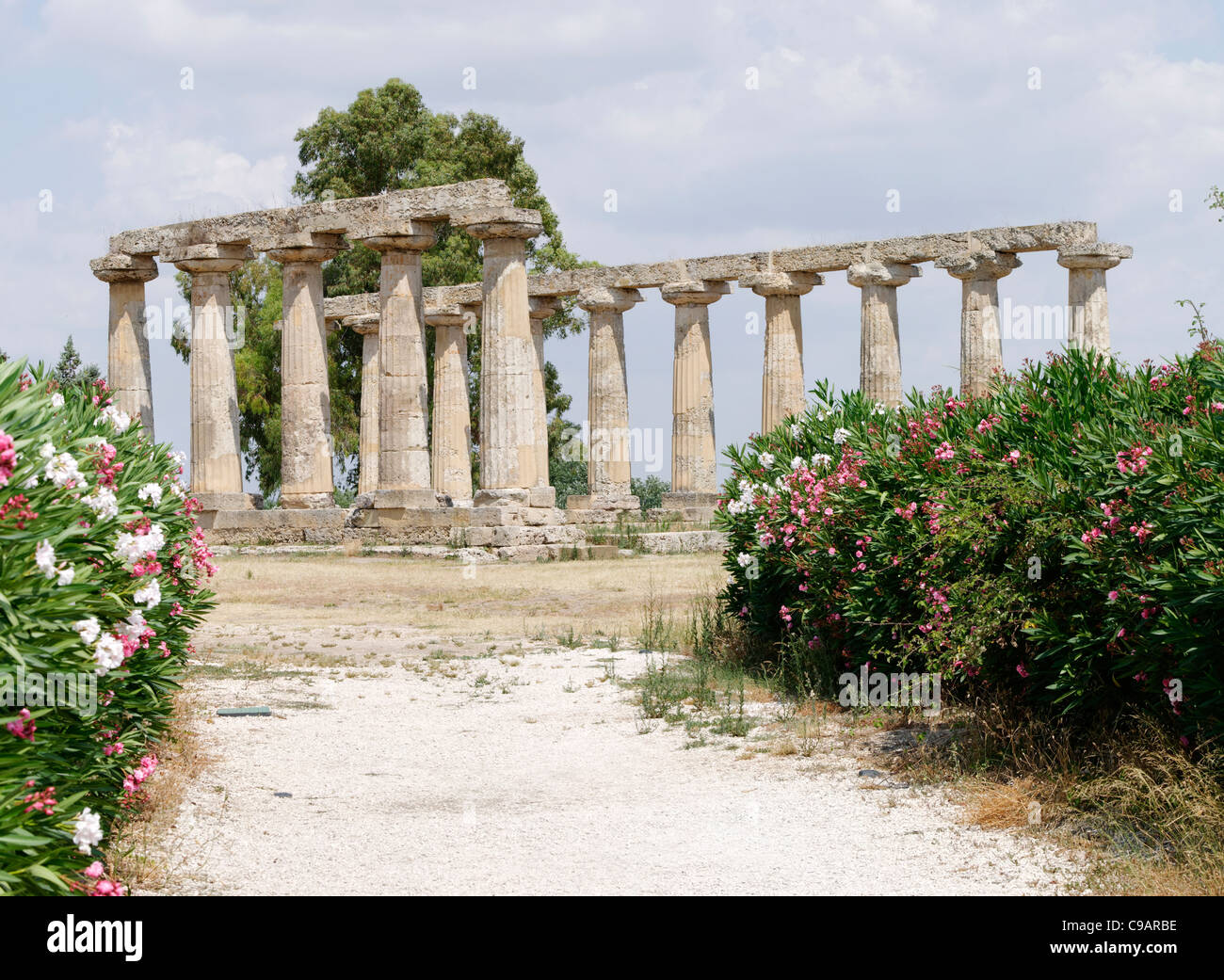 Metapontion. Basilicata. Italy. View along a pathway lined with ...