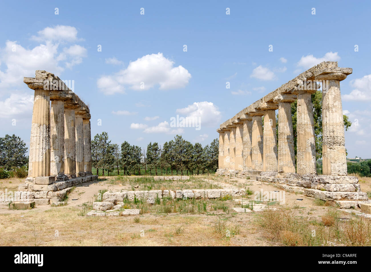 Metapontion. Basilicata. Italy. View of the majestic Greek Doric Temple ...