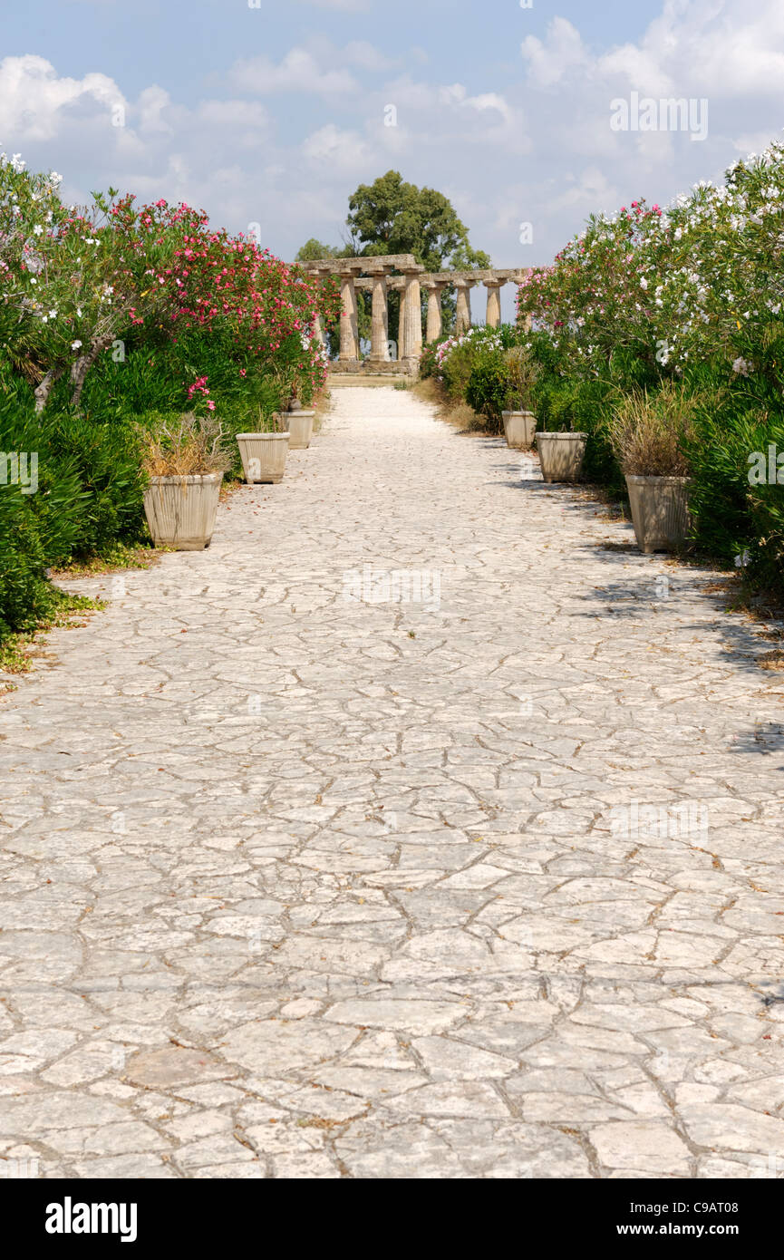 Metapontion. Basilicata. Italy. View along a pathway lined with ...