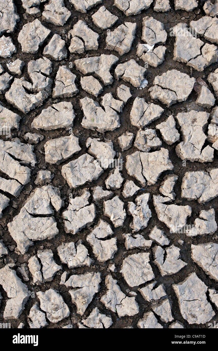 Dry cracking clay soil pattern. Andhra Pradesh, India Stock Photo - Alamy