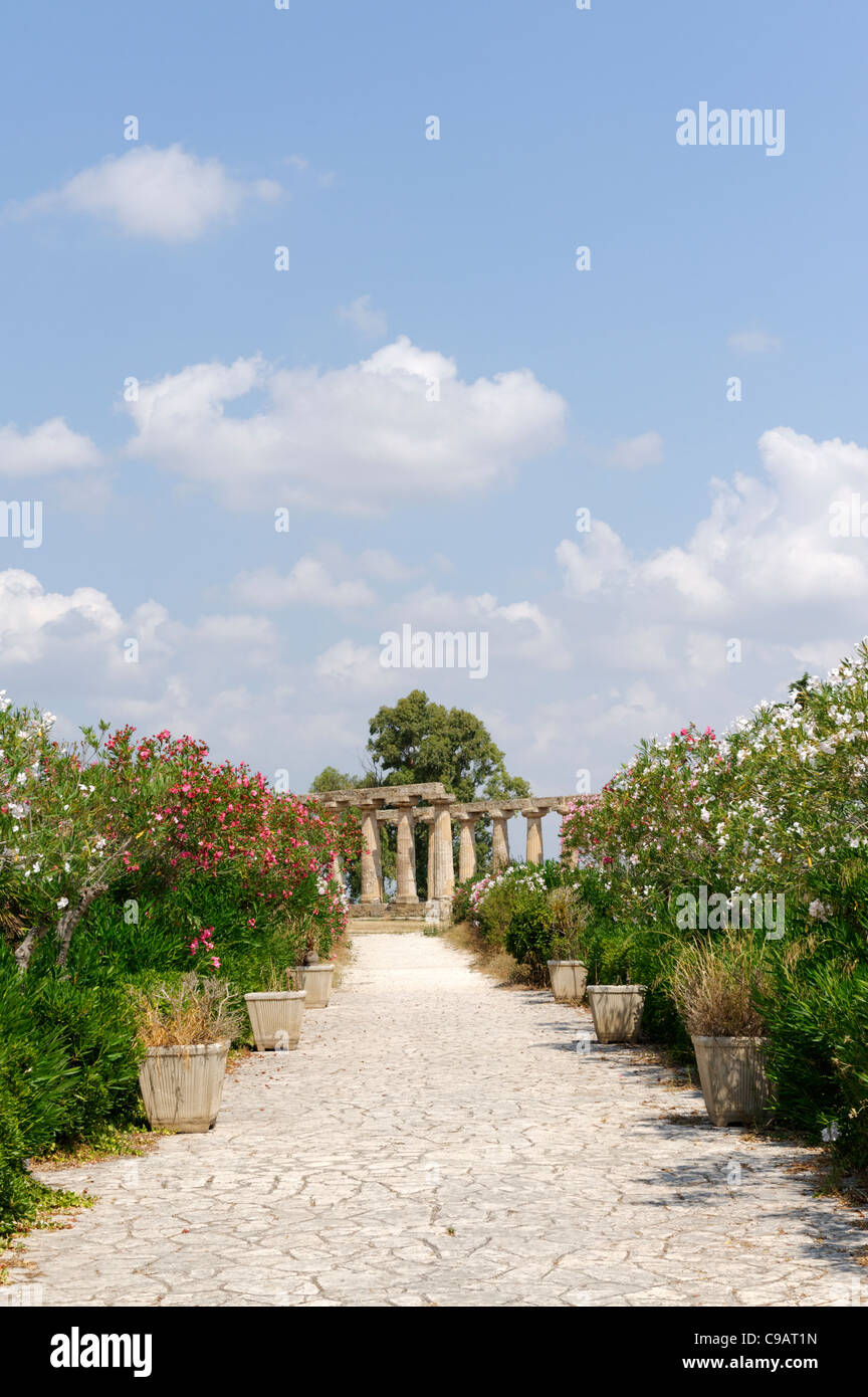 Metapontion. Basilicata. Italy. View along a pathway lined with ...