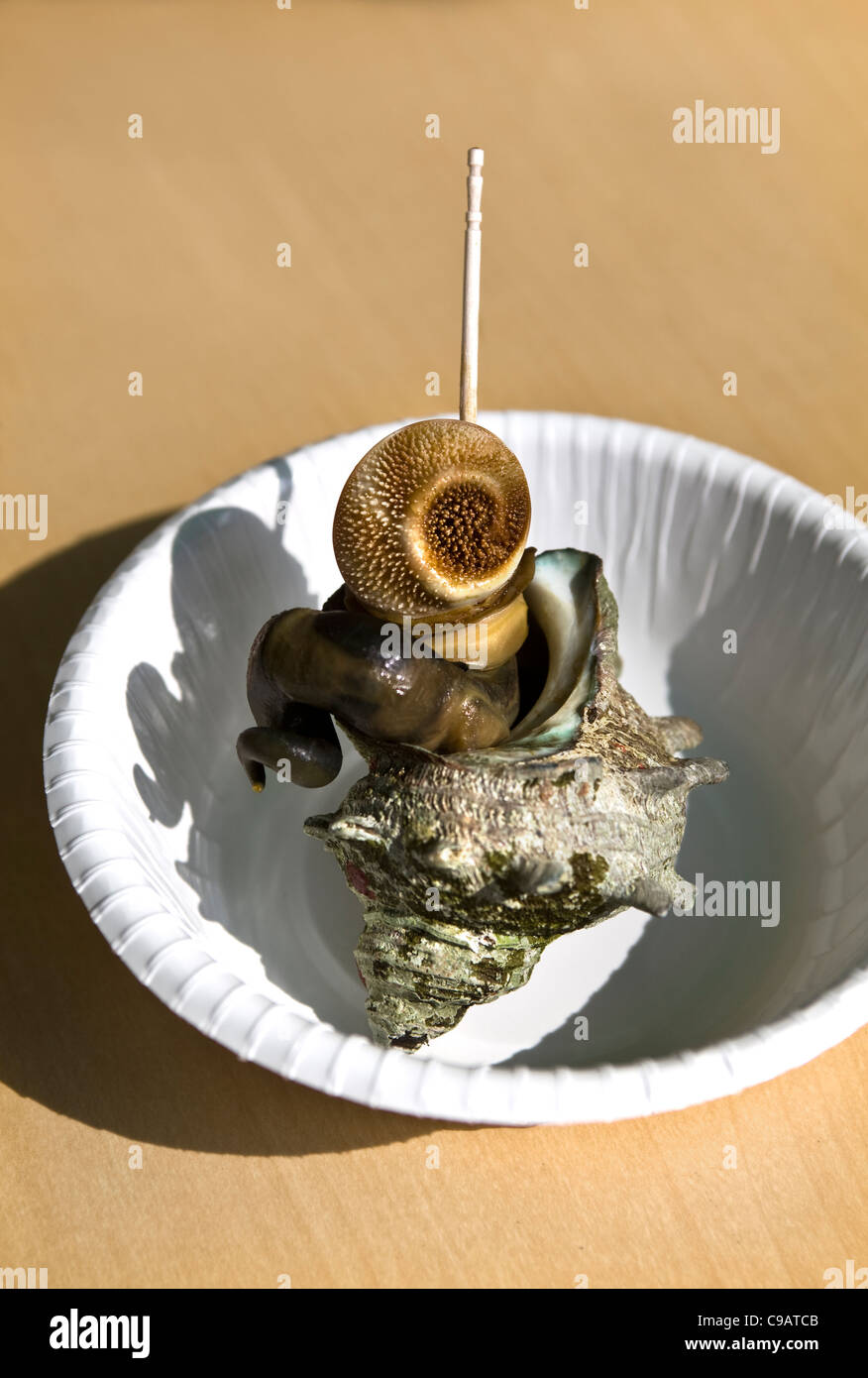 Whelks close up hi-res stock photography and images - Alamy