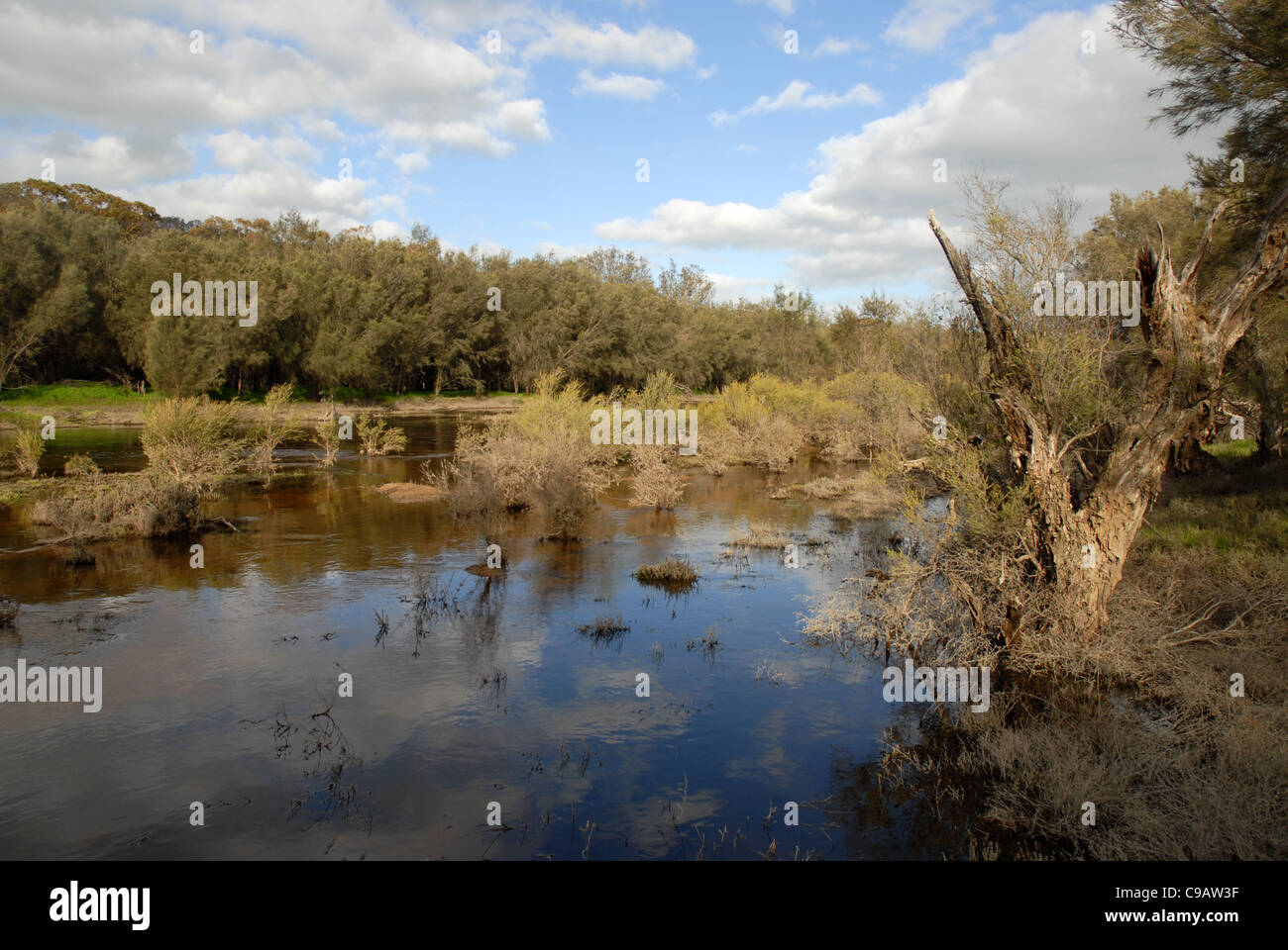 Australian bush landscape hi-res stock photography and images - Alamy