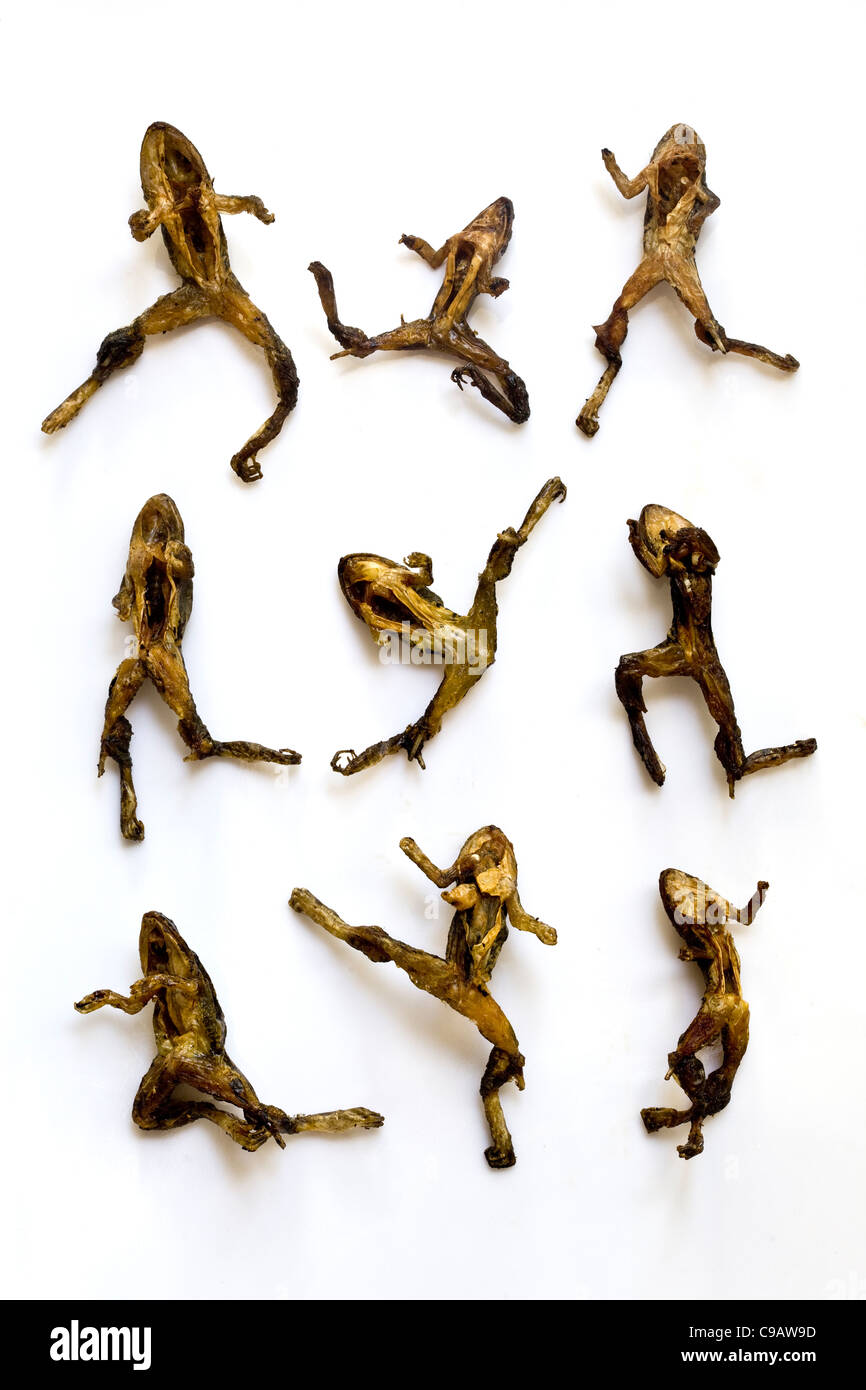 Fried Frogs a delicacy in South East Asia - An example of the strange ...