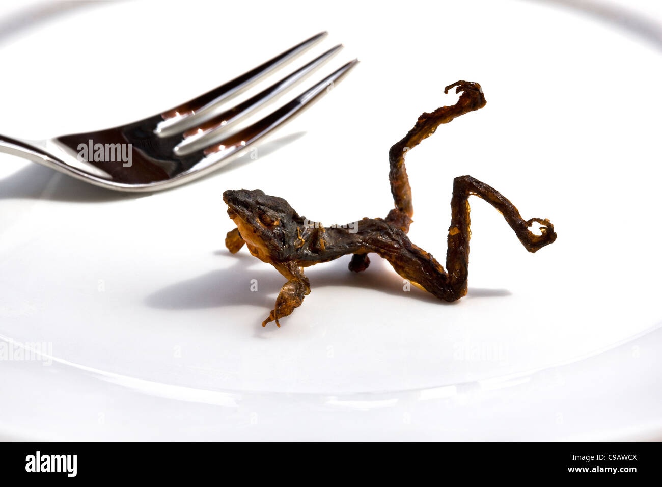 Deep fried frogs hi-res stock photography and images - Alamy