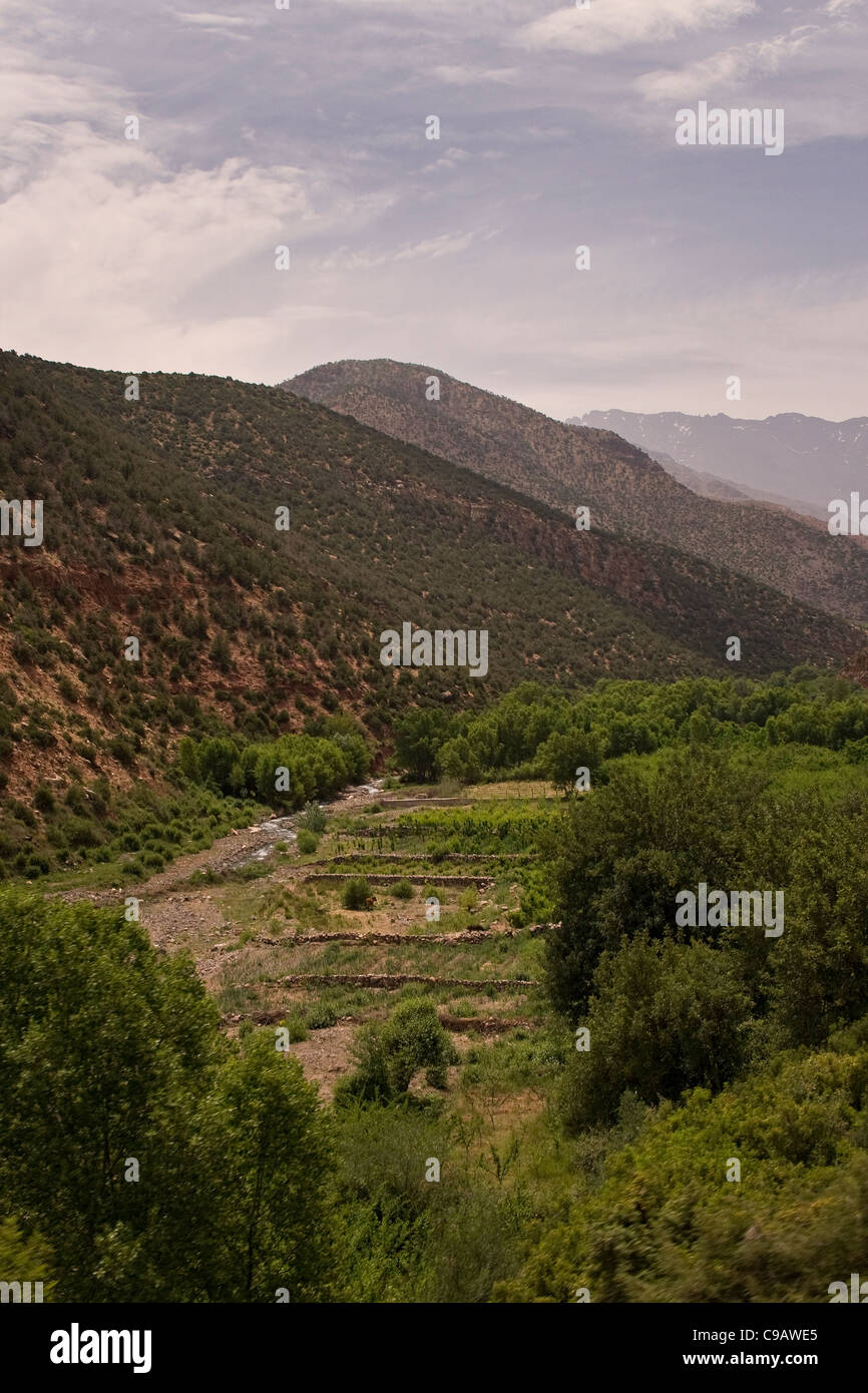 Berber farm hi-res stock photography and images - Alamy