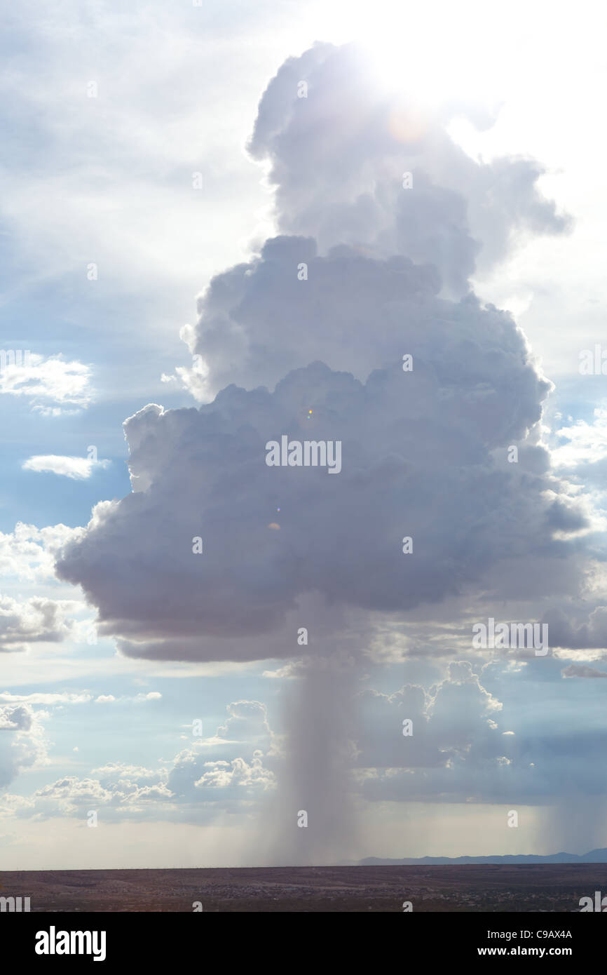 Large storm cloud with column of rain and sun above Stock Photo - Alamy