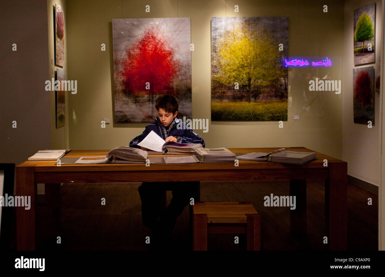 Boy reading a book inside an art gallery, London, England, UK, GB Stock ...