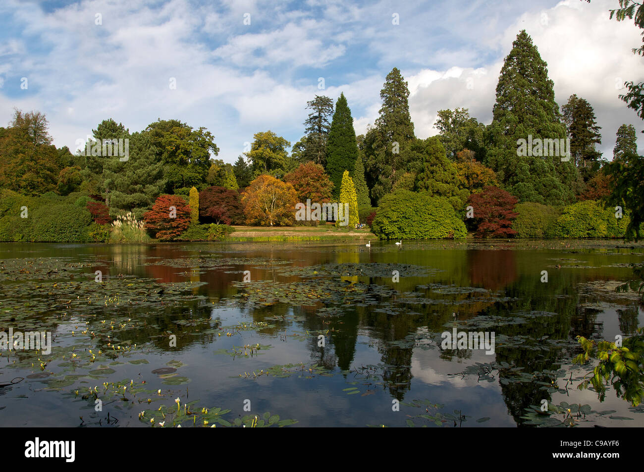 Sheffield park hi-res stock photography and images - Alamy