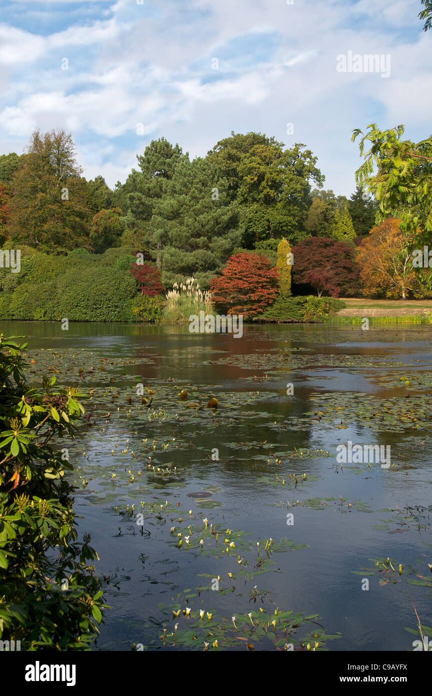 Sheffield park hi-res stock photography and images - Alamy