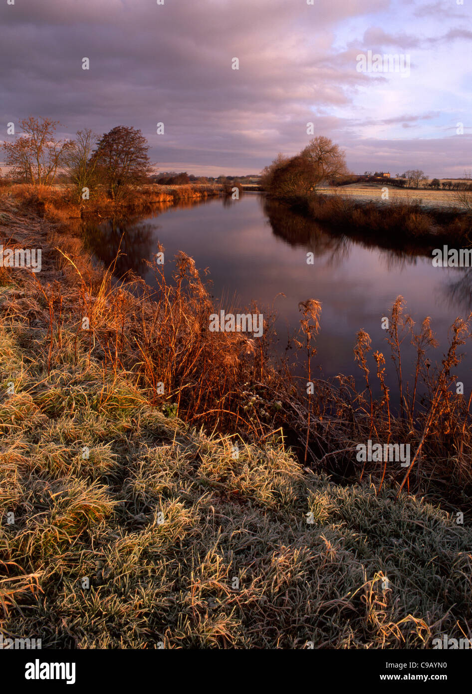 Newton kyme hi-res stock photography and images - Alamy