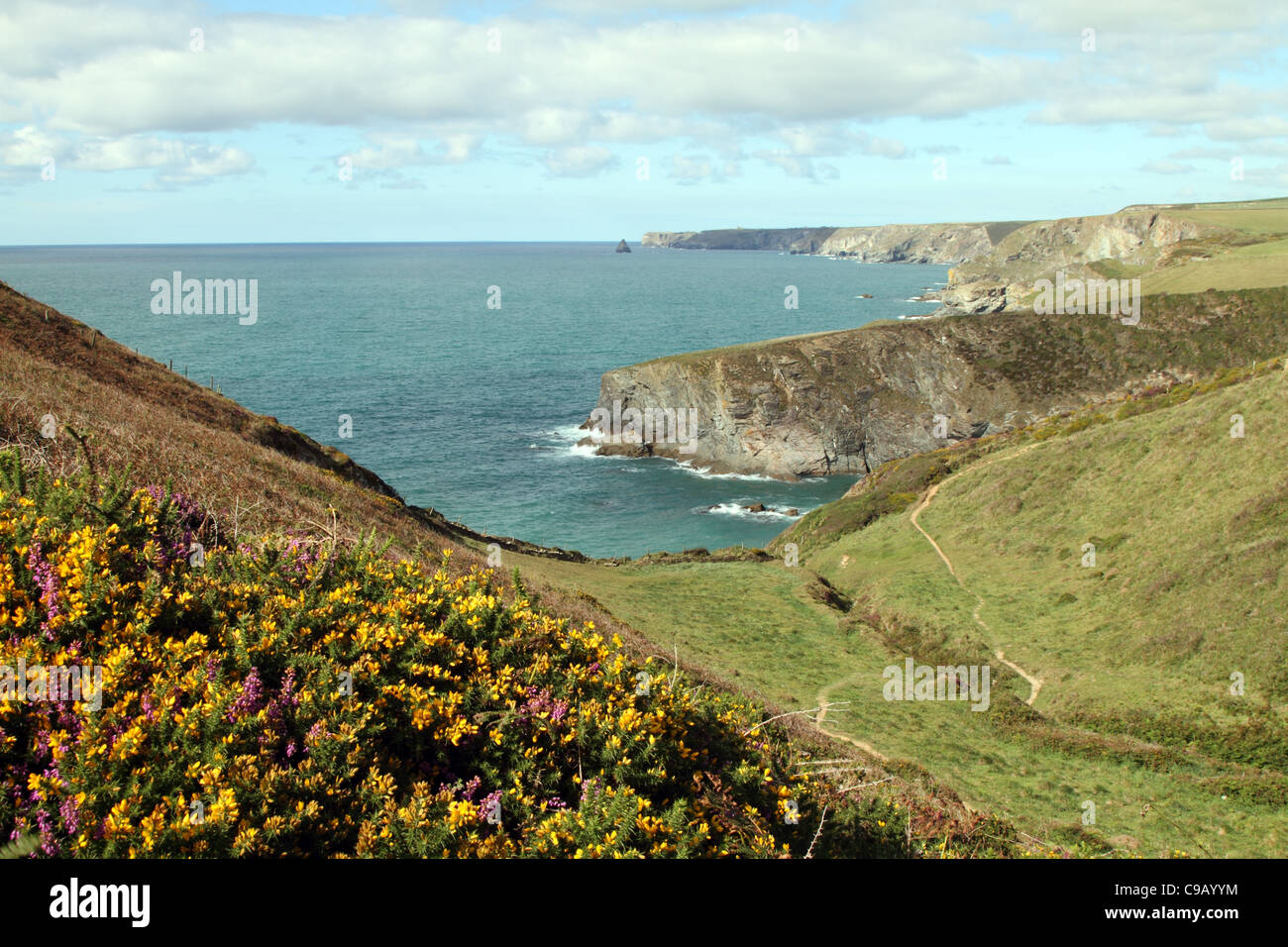 Cliff point view hi-res stock photography and images - Alamy
