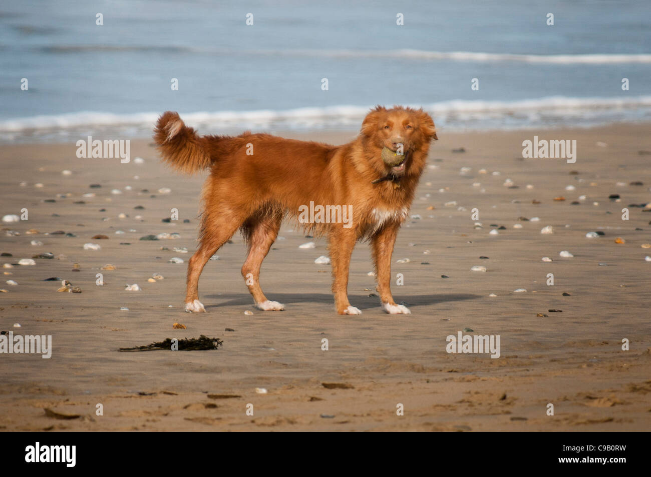 Fistal hi-res stock photography and images - Alamy