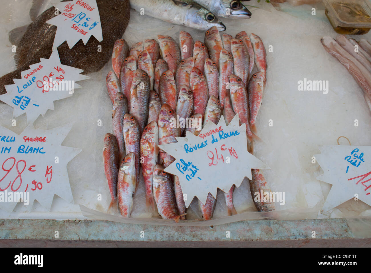 Pink snapper hi-res stock photography and images - Alamy