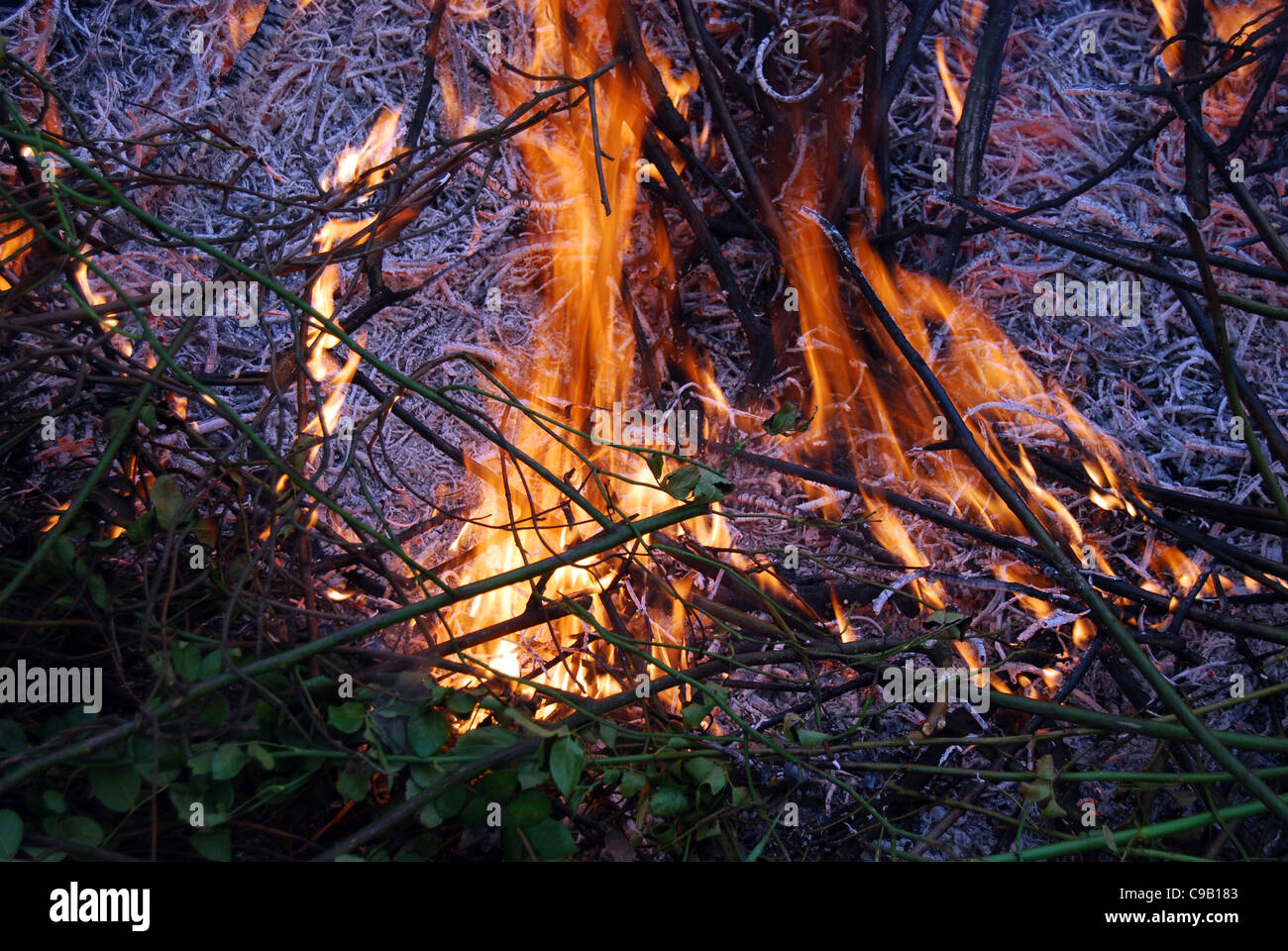 A fire burning foliage Stock Photo - Alamy