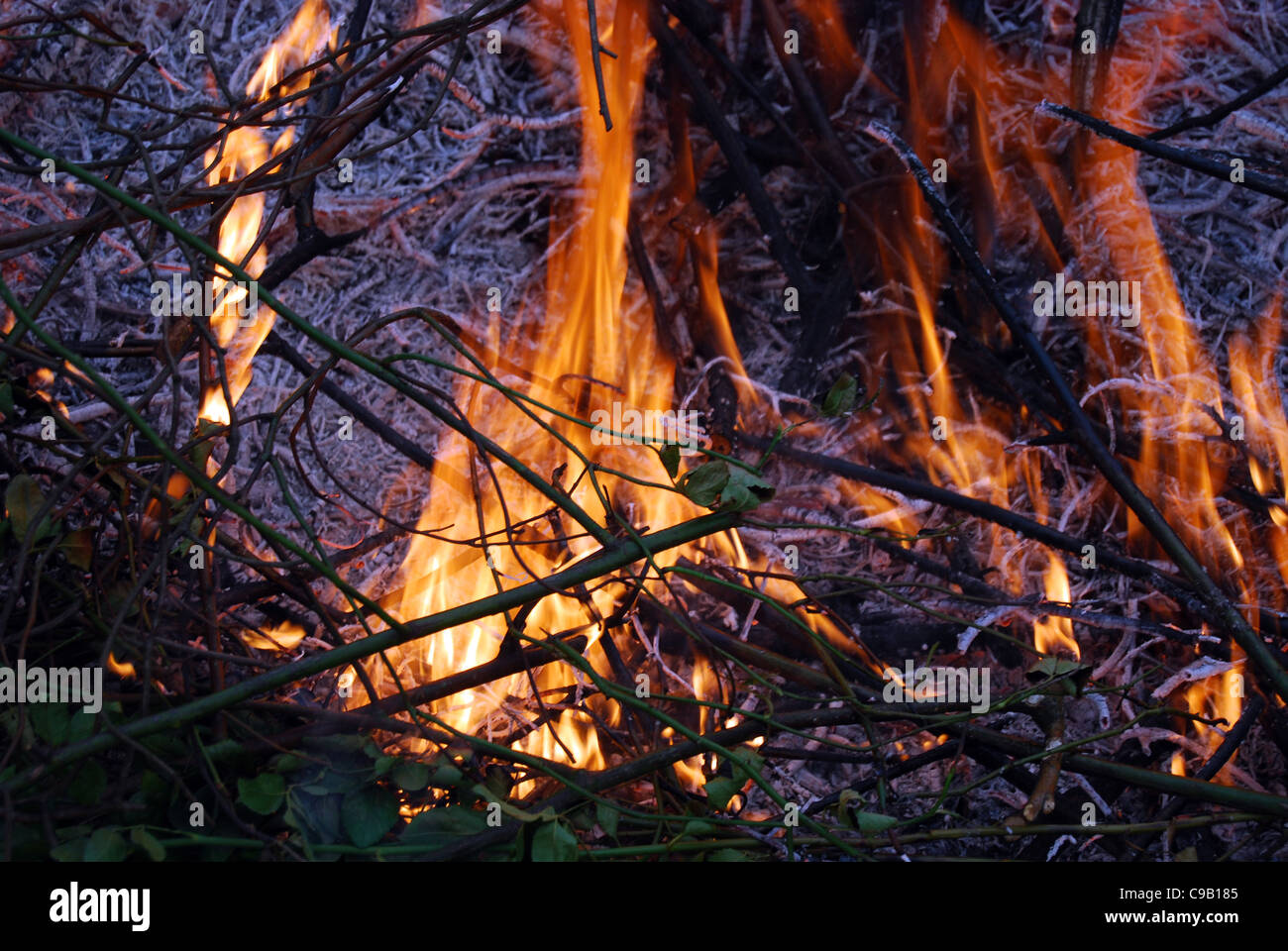 A fire burning foliage Stock Photo - Alamy
