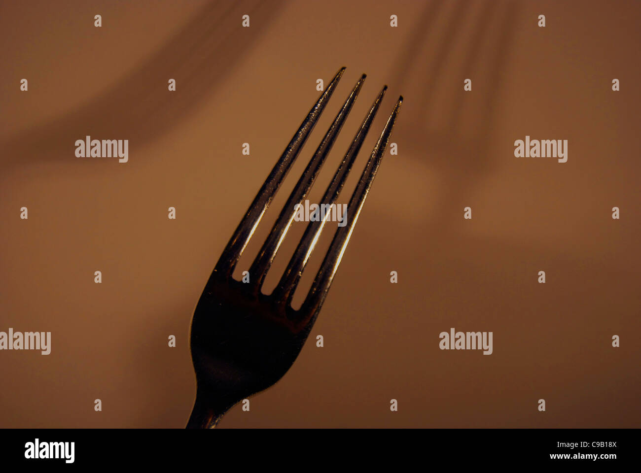 Silver fork taken with light shining through causing a shadow on the ...