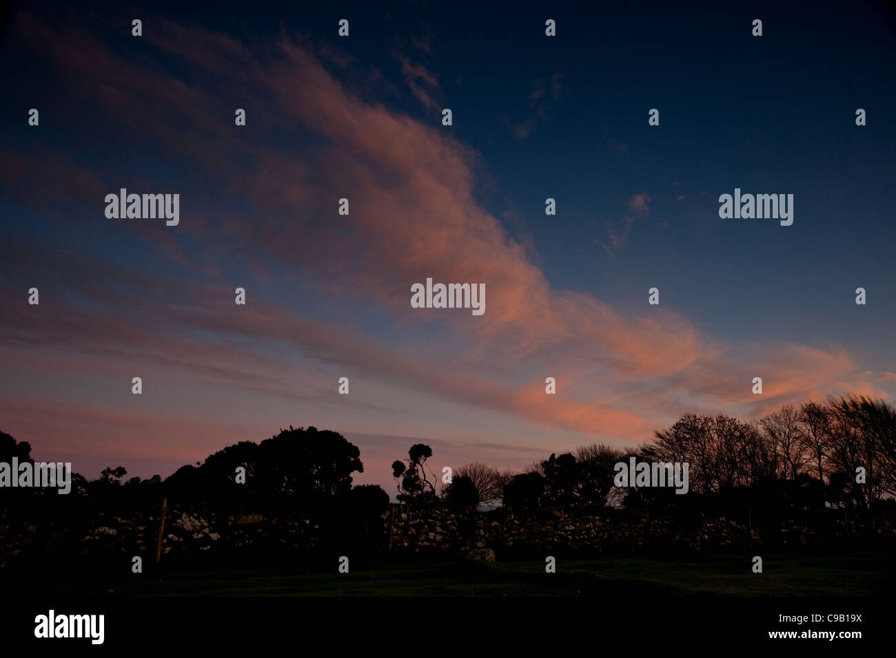Sunset with pink clouds over the moor Stock Photo - Alamy