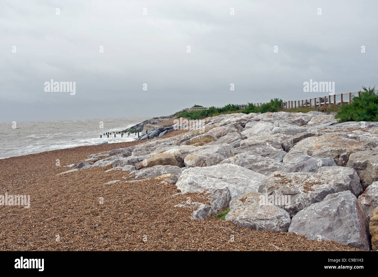 Protecting marine environment hi-res stock photography and images - Alamy