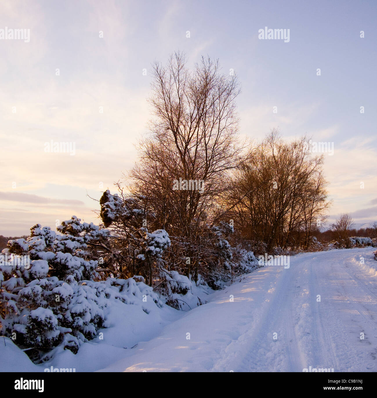 Snow covered lane hi-res stock photography and images - Alamy