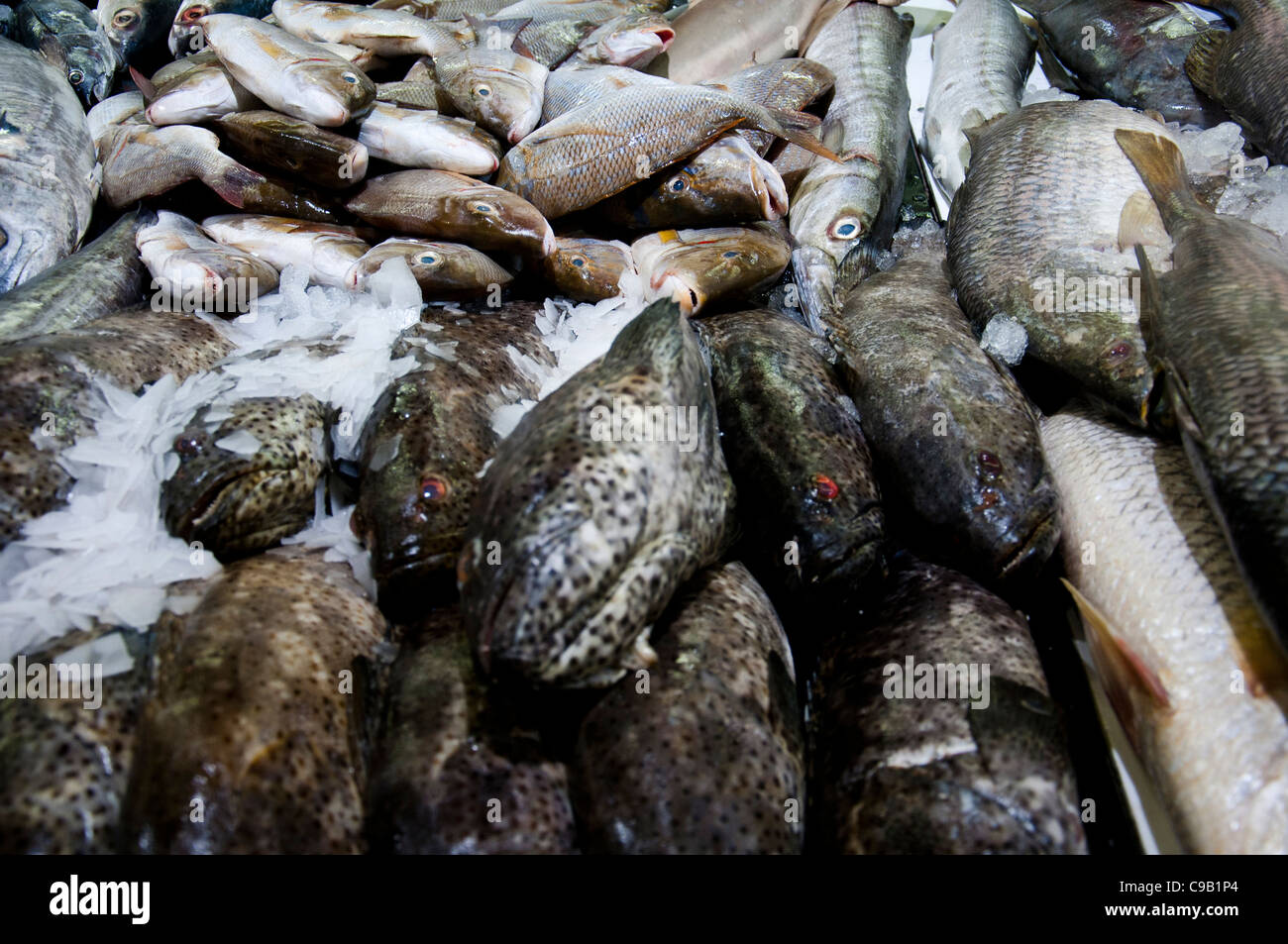 Billingsgate Fish Market, London, UK Stock Photo - Alamy
