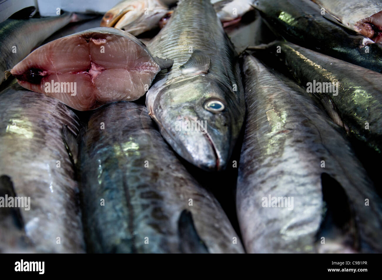 Billingsgate Fish Market, London, UK Stock Photo - Alamy