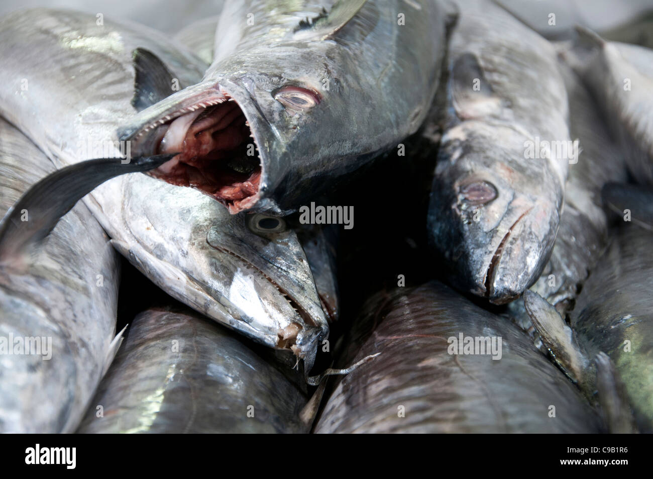 Billingsgate Fish Market, London, UK Stock Photo - Alamy