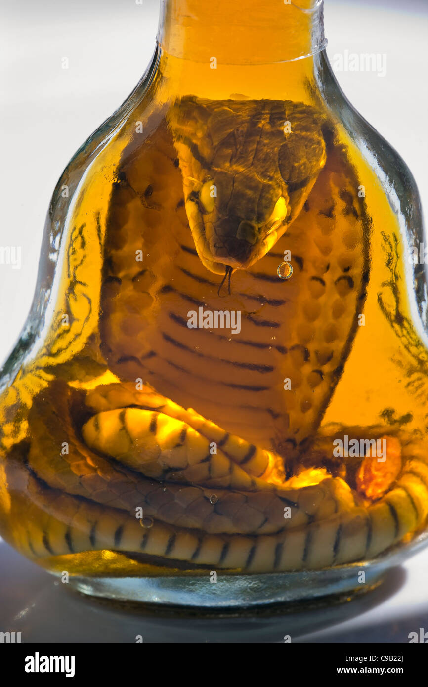 A Bottle of Snake Whisky - An example of the strange or weird food ...