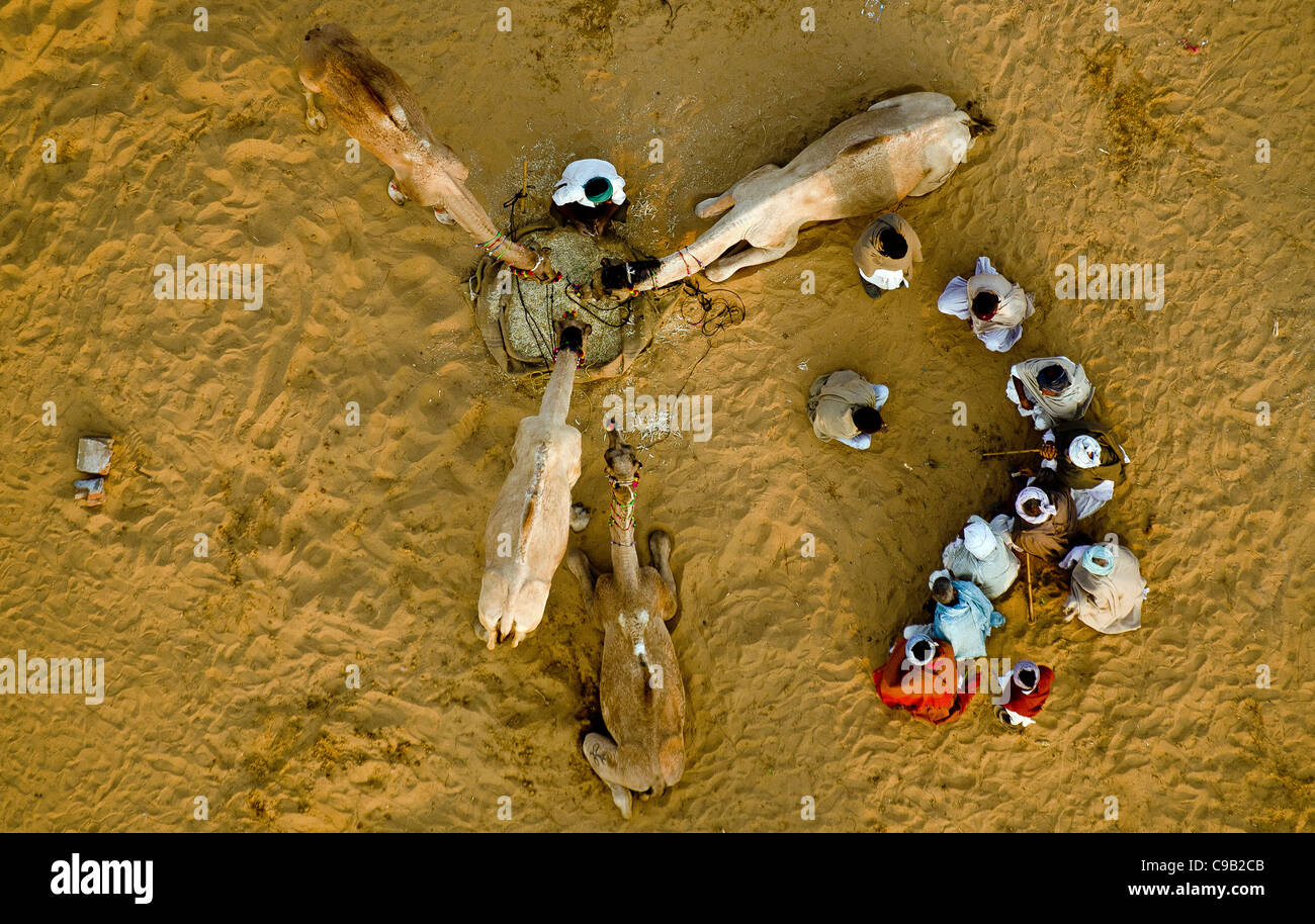 Camel traders enjoy a morning feast, shot from above at the world's ...