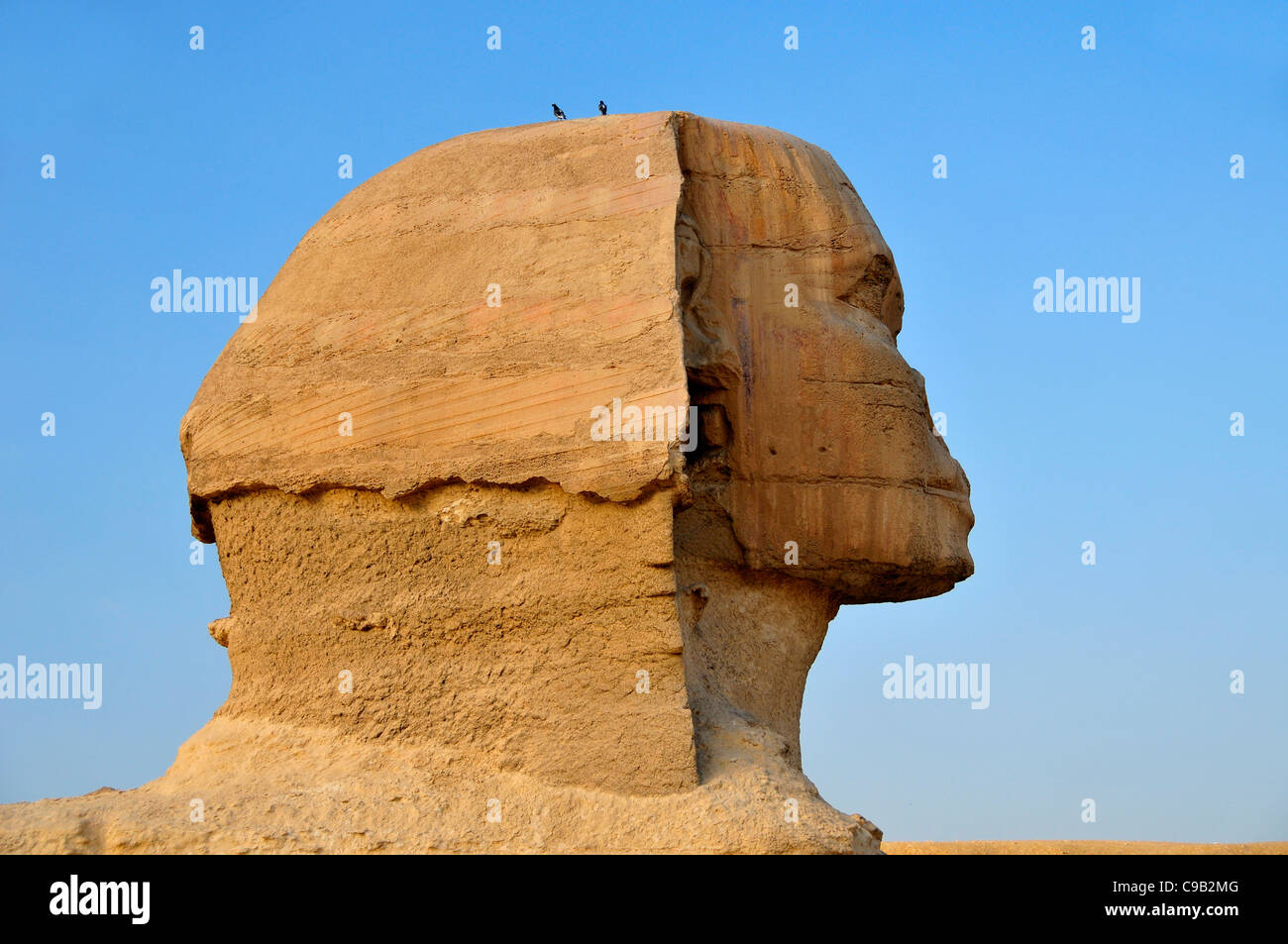 Spinks Egypt middle east Stock Photo - Alamy