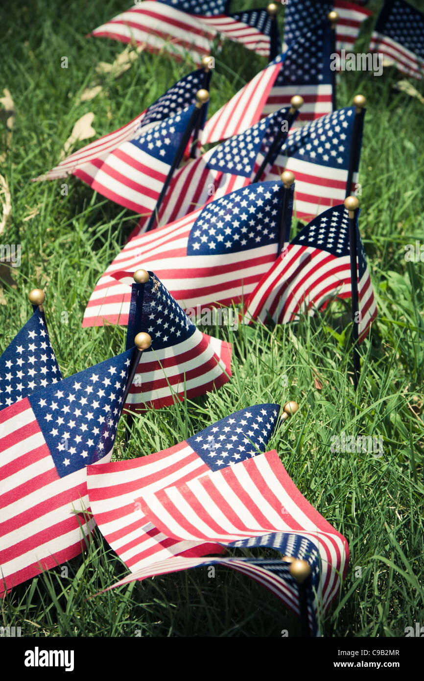 American Flags planted in Washington DC, USA Stock Photo - Alamy