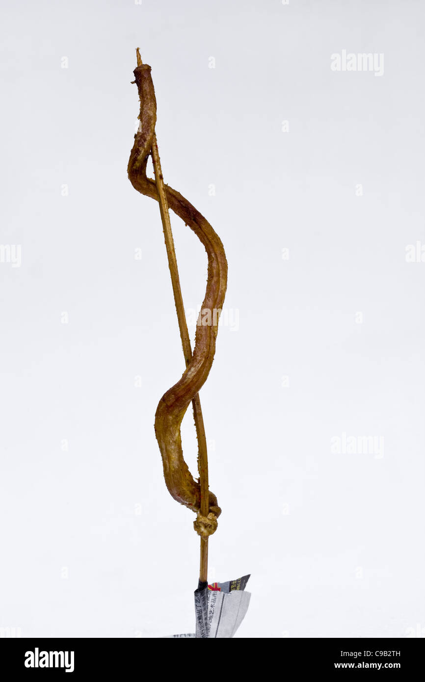 Cooked Snake on sale at Wangfujing Night Market Beijing - An example of ...