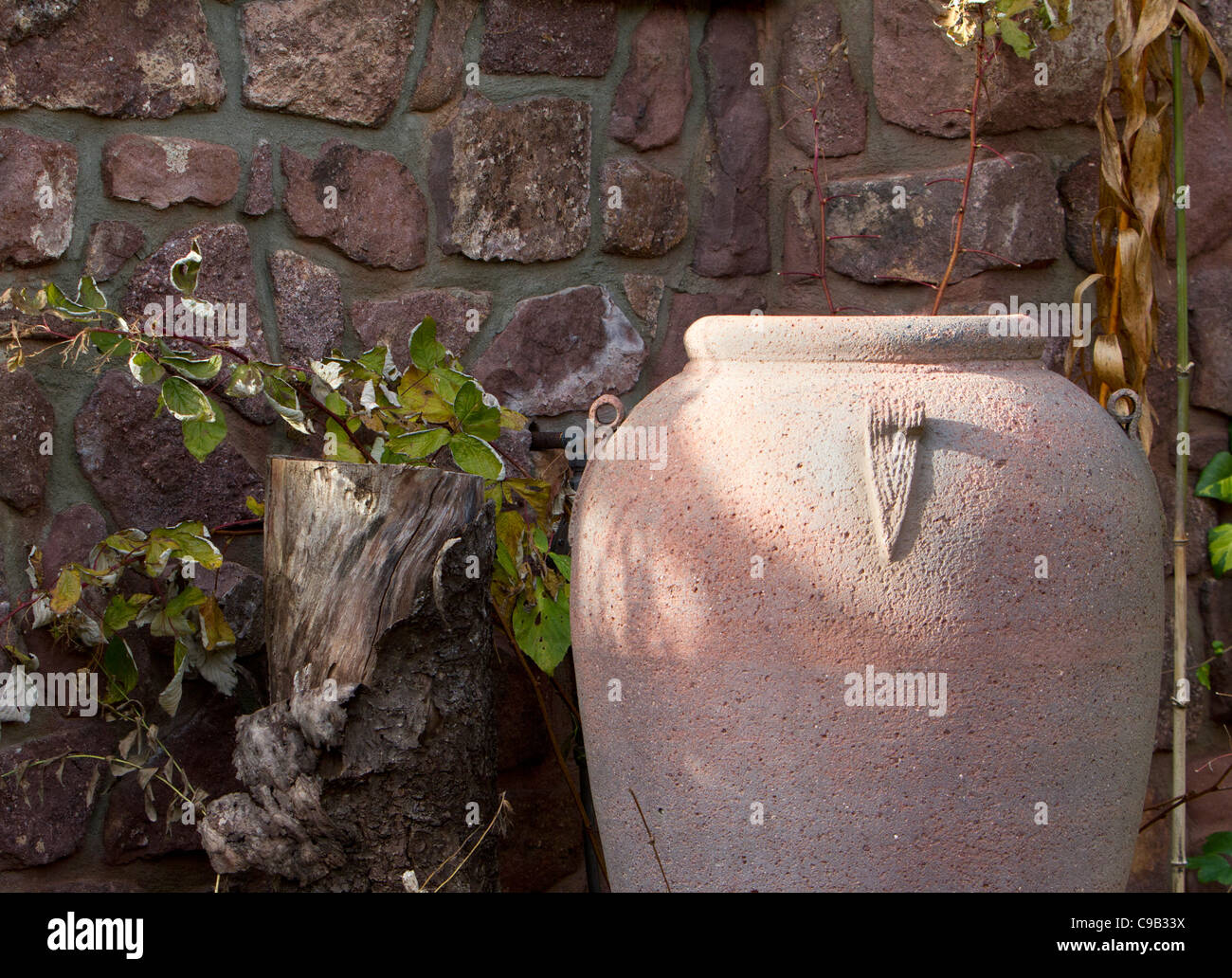 Large garden urn stump ivy stone wall Stock Photo - Alamy