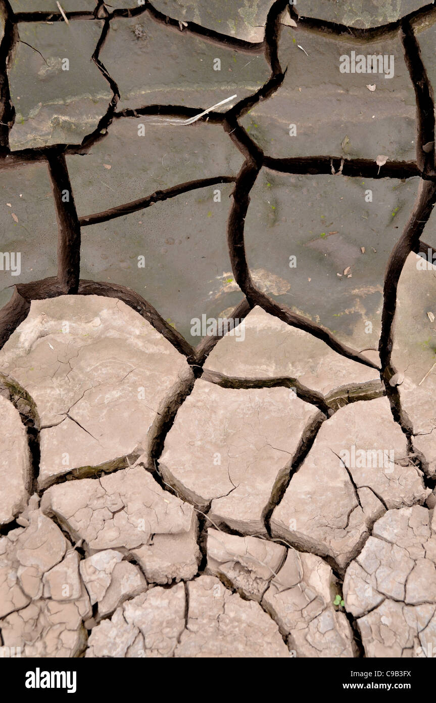A detailed closeup of dry cracked soil Stock Photo - Alamy