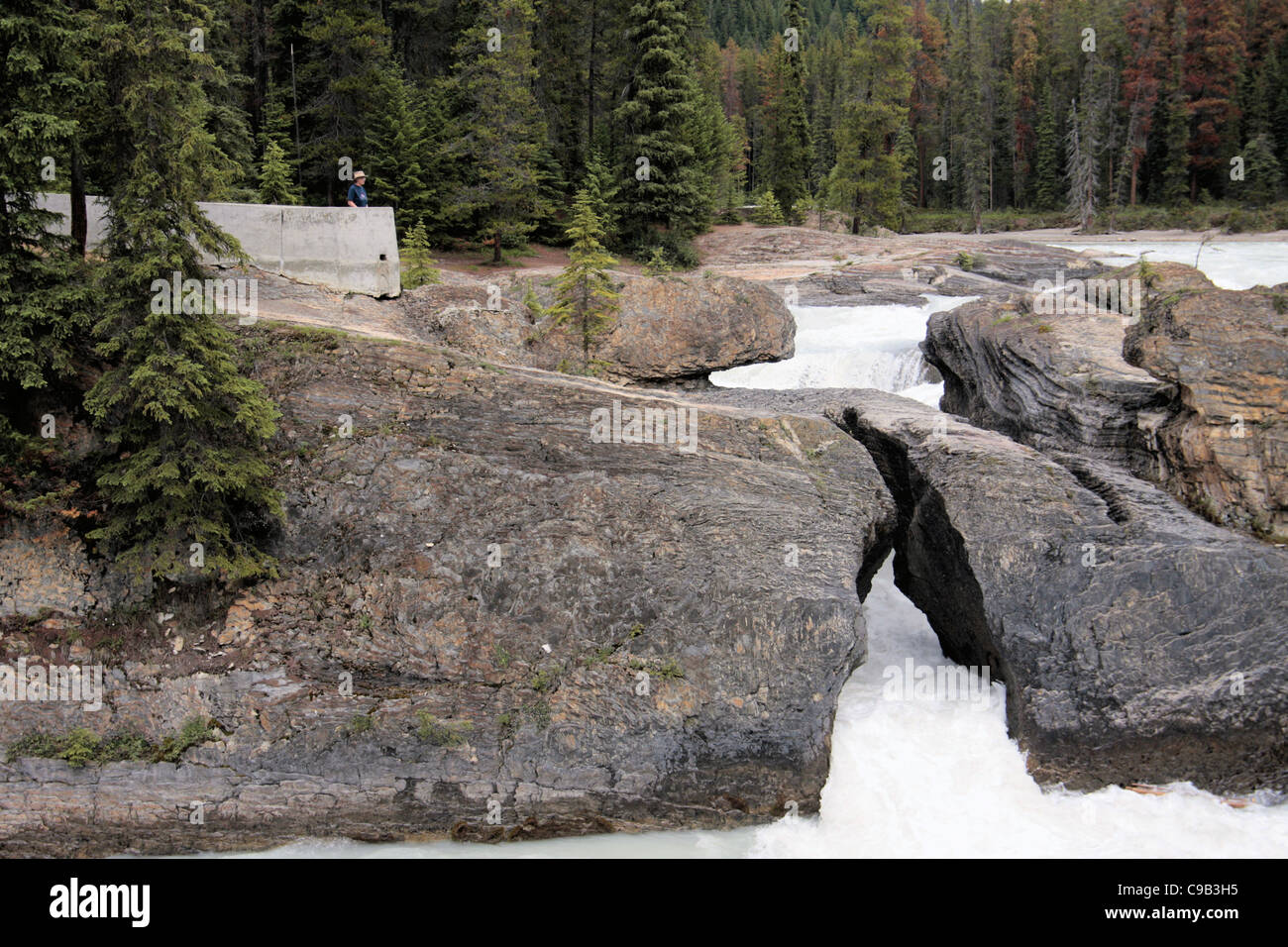 The Natural Bridge in Yoho National Park on the Kicking Horse River ...