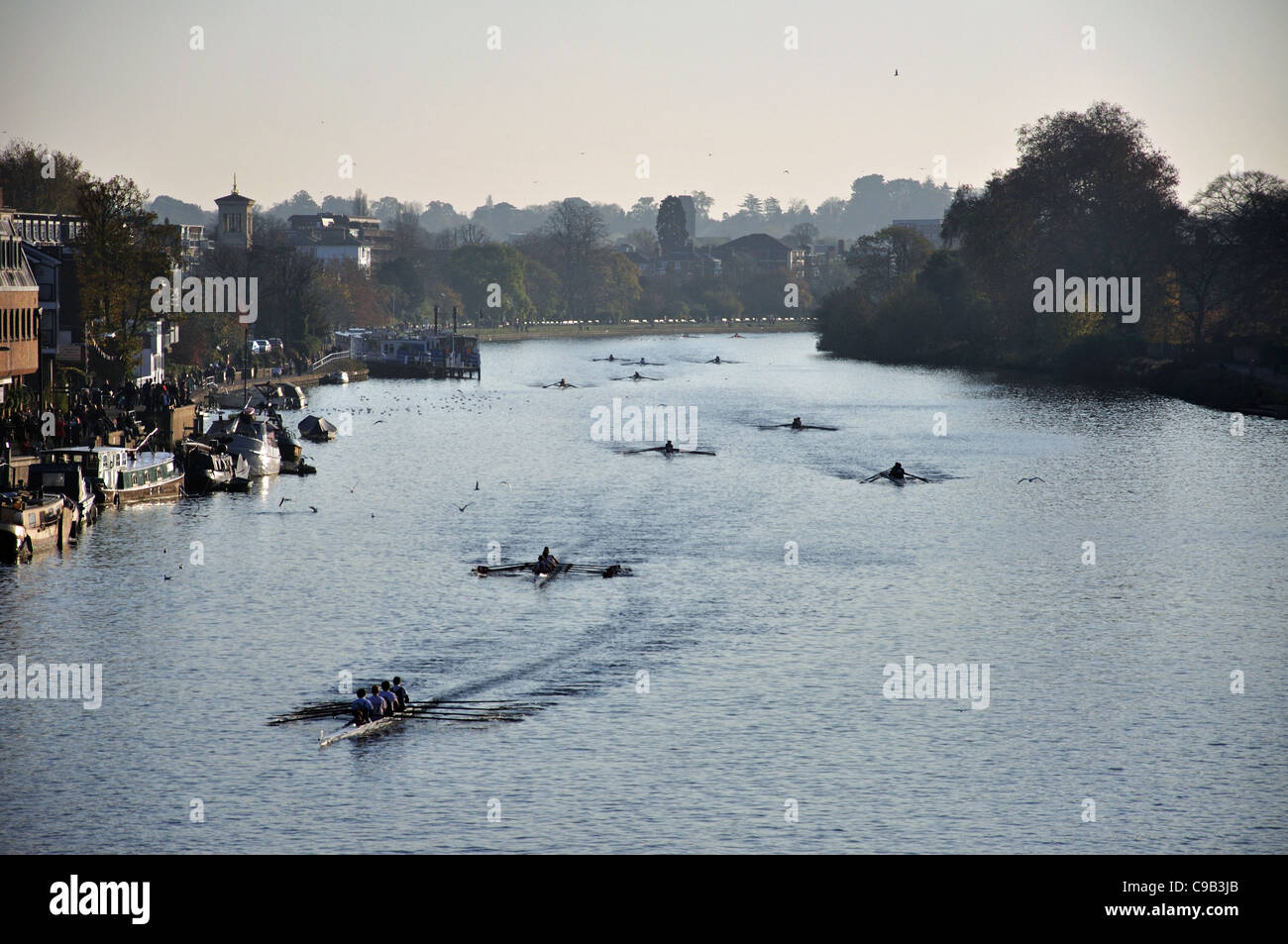 Thames rowing competition hi-res stock photography and images - Alamy