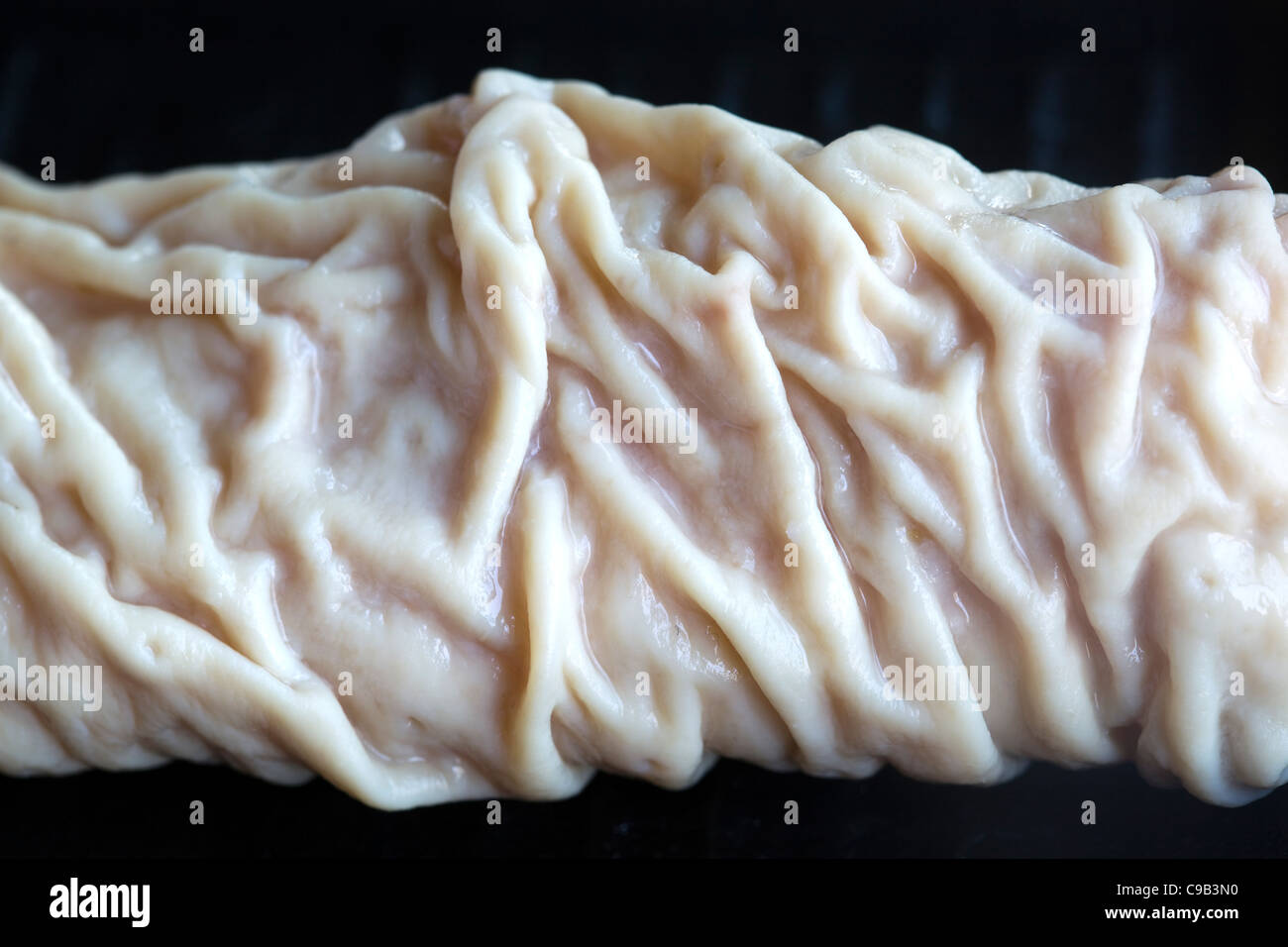 Raw pigs intestine or Chitterlings ready for cooking - An example of ...